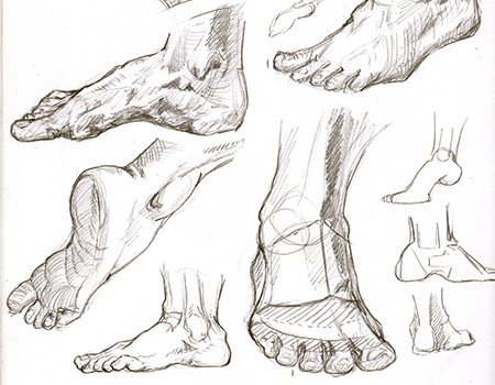 2696 Human Anatomy: Heads, Hands and Feet | RISD Continuing Education